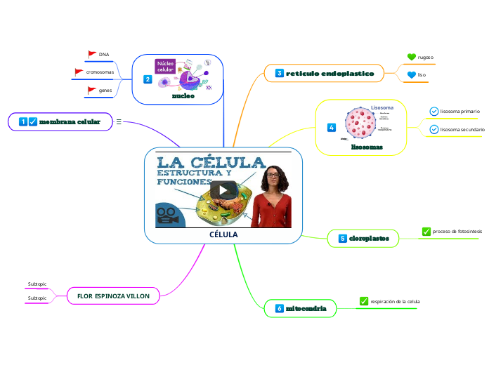 CÉLULA - Mind Map